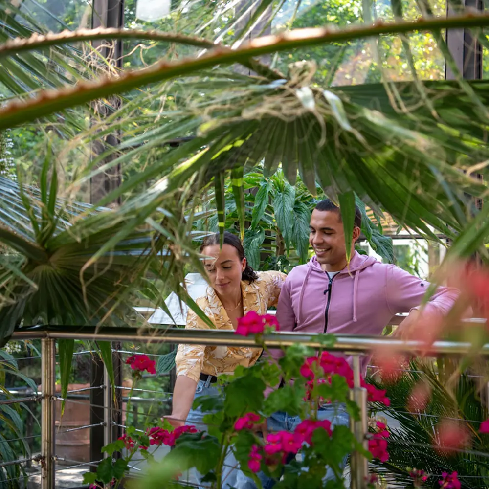 The Bombay Sapphire Tour Experience for Two | Gifts | Bloom & Wild