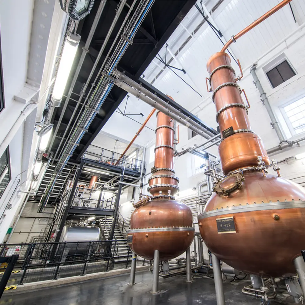 The Bombay Sapphire Tour Experience for Two | Gifts | Bloom & Wild