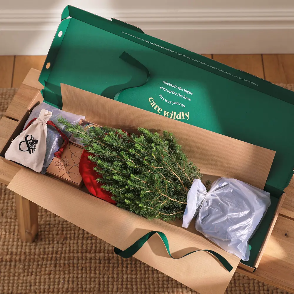 The Jingle Bell Tree | Letterbox Trees | Bloom & Wild