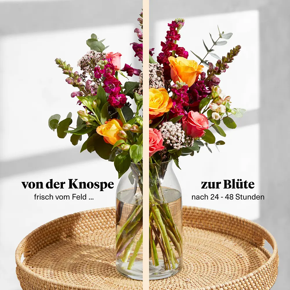 Saida | Handgebundener Blumenstrauß | Bloom & Wild