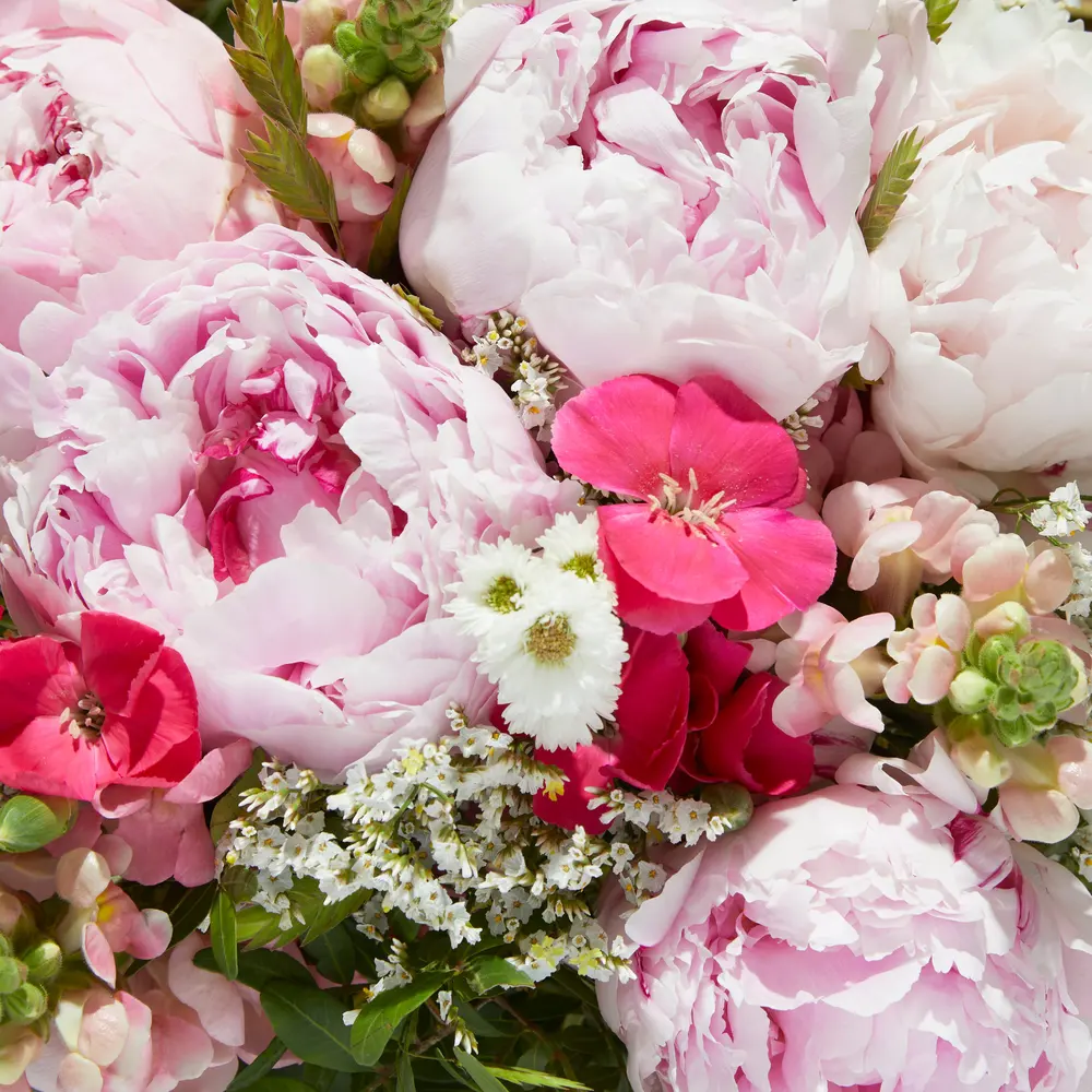 Bloom & Wild Flower Delivery | Flowers & Gifts