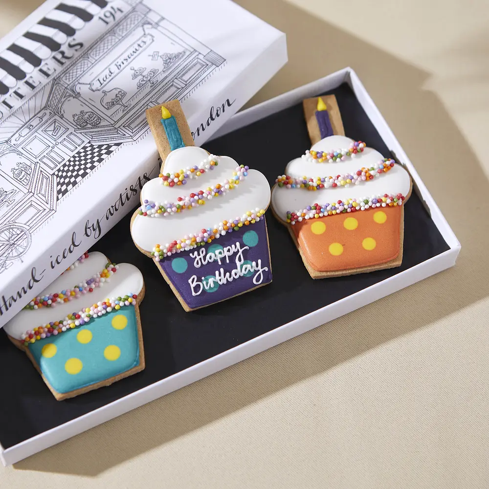 The Letterbox Birthday Biscuits by Biscuiteers | Letterbox Gifts ...