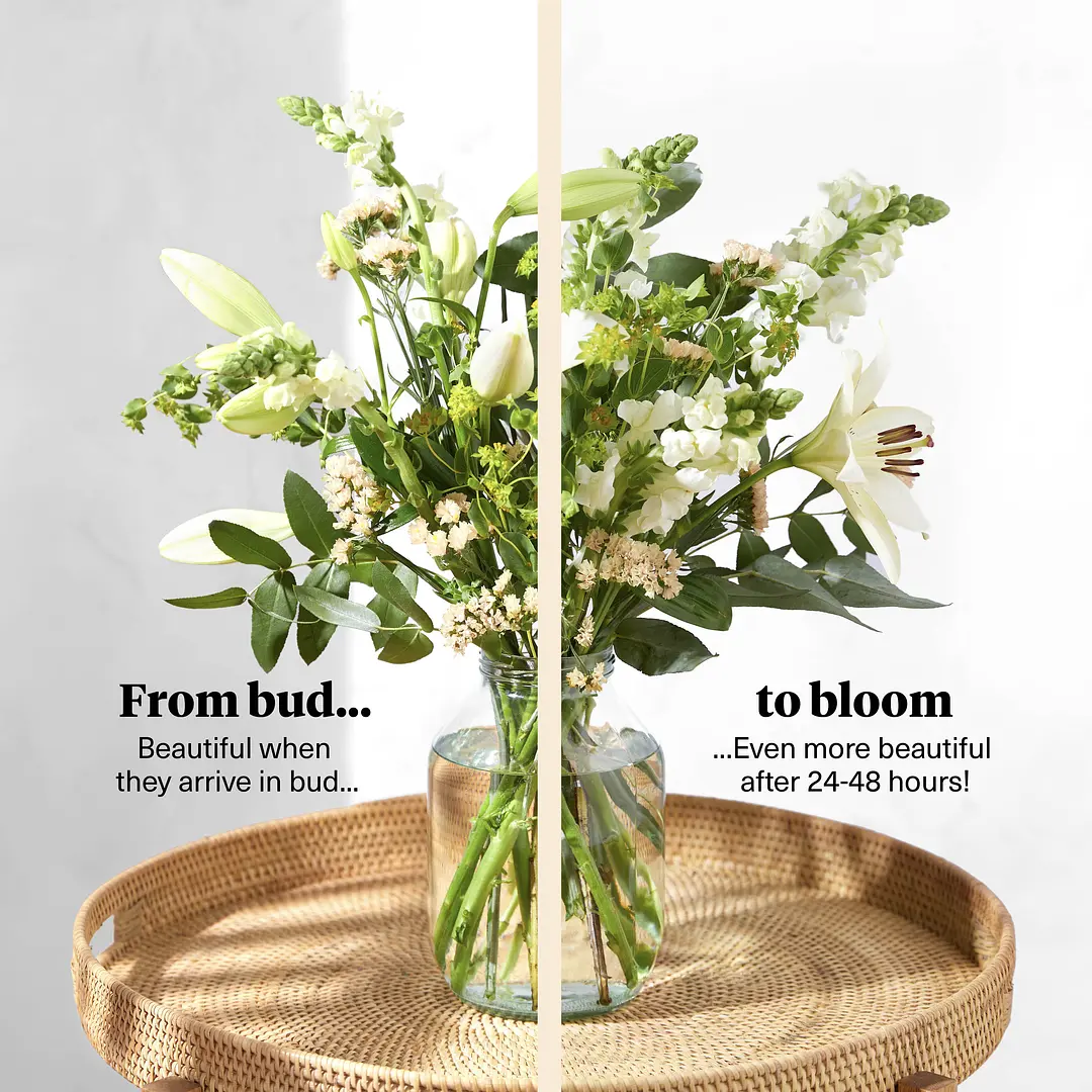 Send Flowers Online | Flowers Delivery | Bloom & Wild