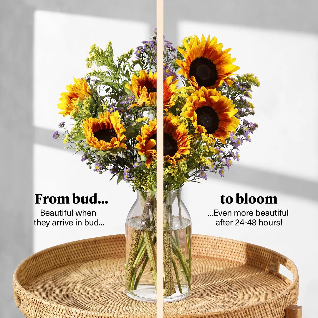 Sunflower Bouquets | Order Sunflowers Online