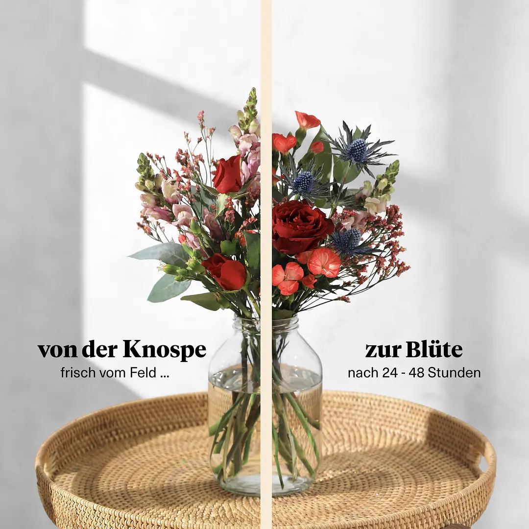 Blumen verschicken: versandkostenfrei | Bloom & Wild