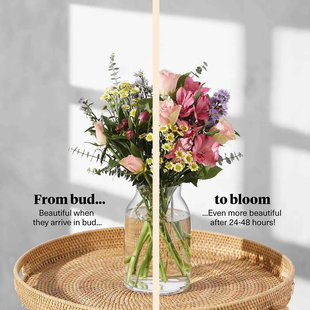 Rose Bouquets | Send a Rose | Bloom & Wild