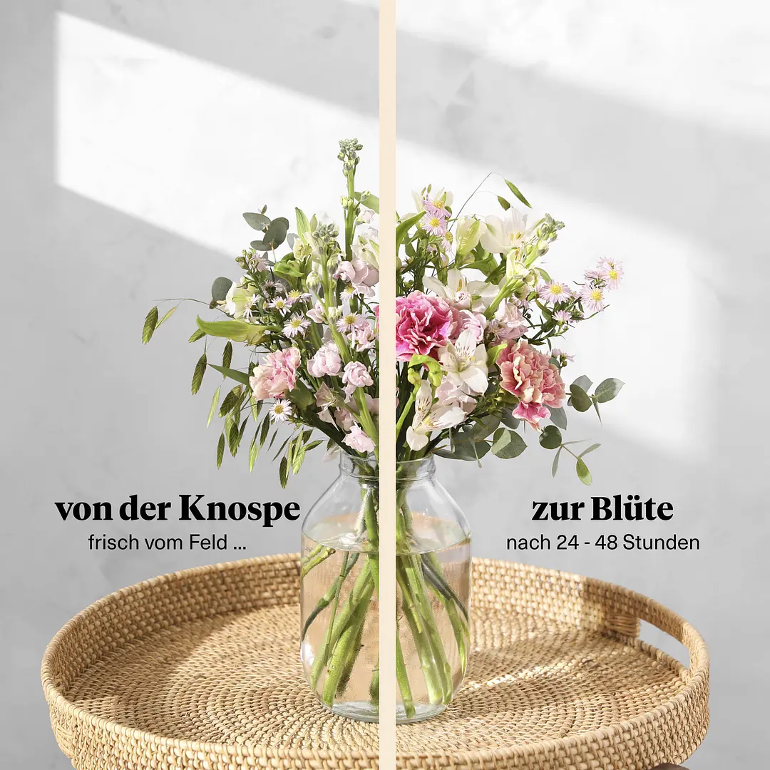 Blumen verschicken | Blumen bestellen | Bloom & Wild