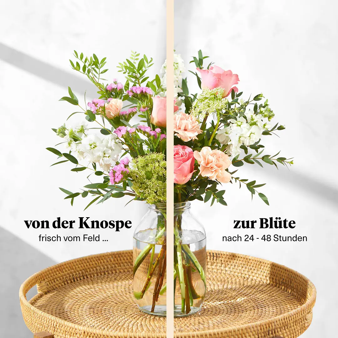 Bloom & Wild – die stilvolle Art Blumen zu schenken