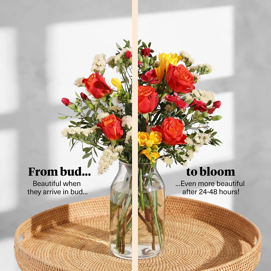 Rose Bouquets | Send a Rose | Bloom & Wild