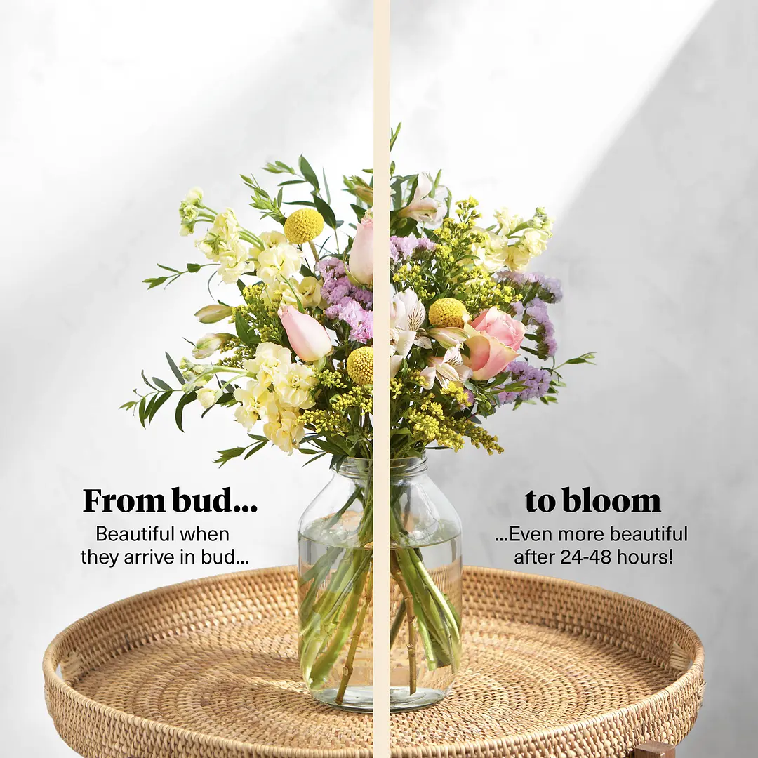 Rose Bouquets | Send a Rose | Bloom & Wild