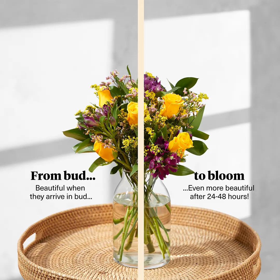 Rose Bouquets | Send a Rose | Bloom & Wild