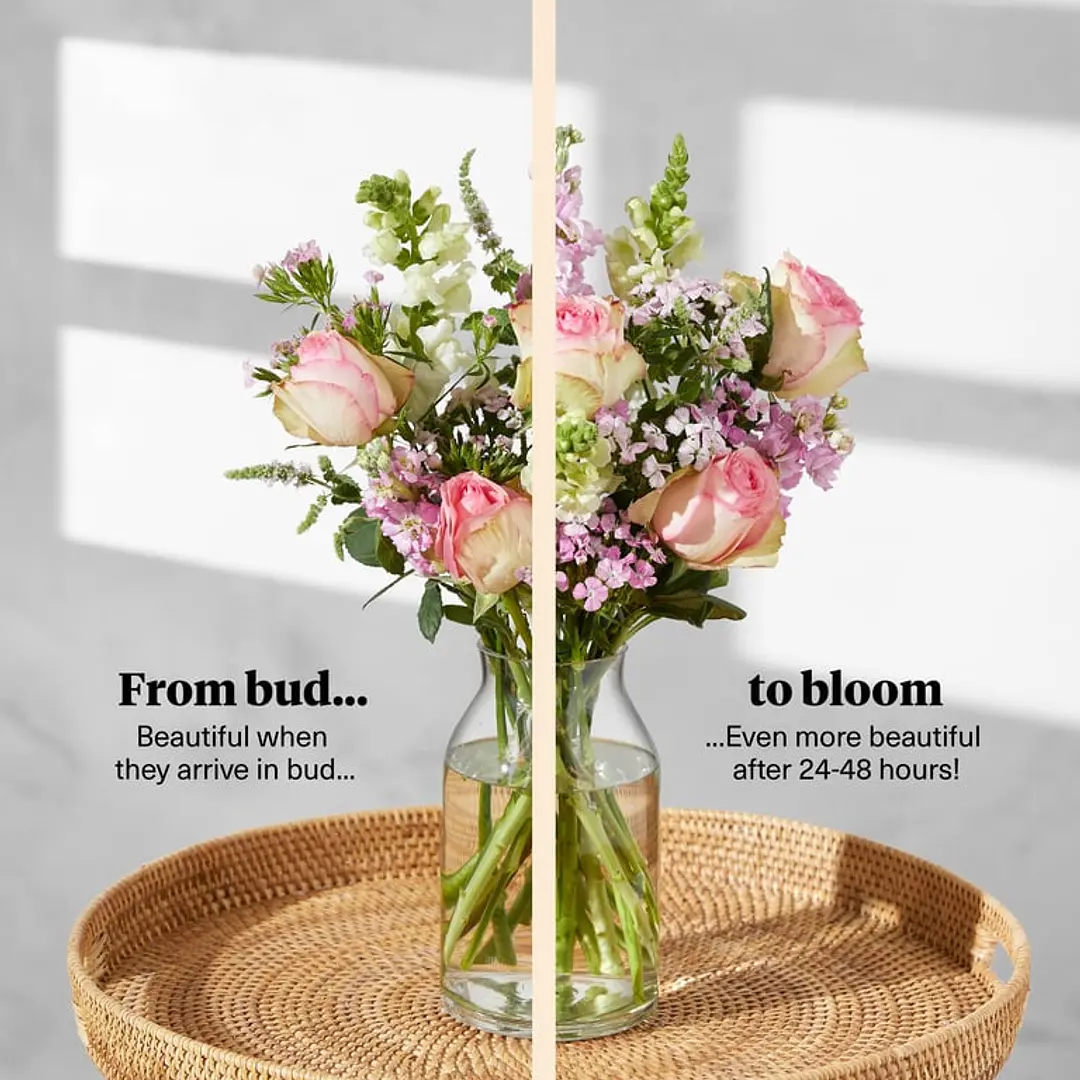 Rose Bouquets | Send a Rose | Bloom & Wild