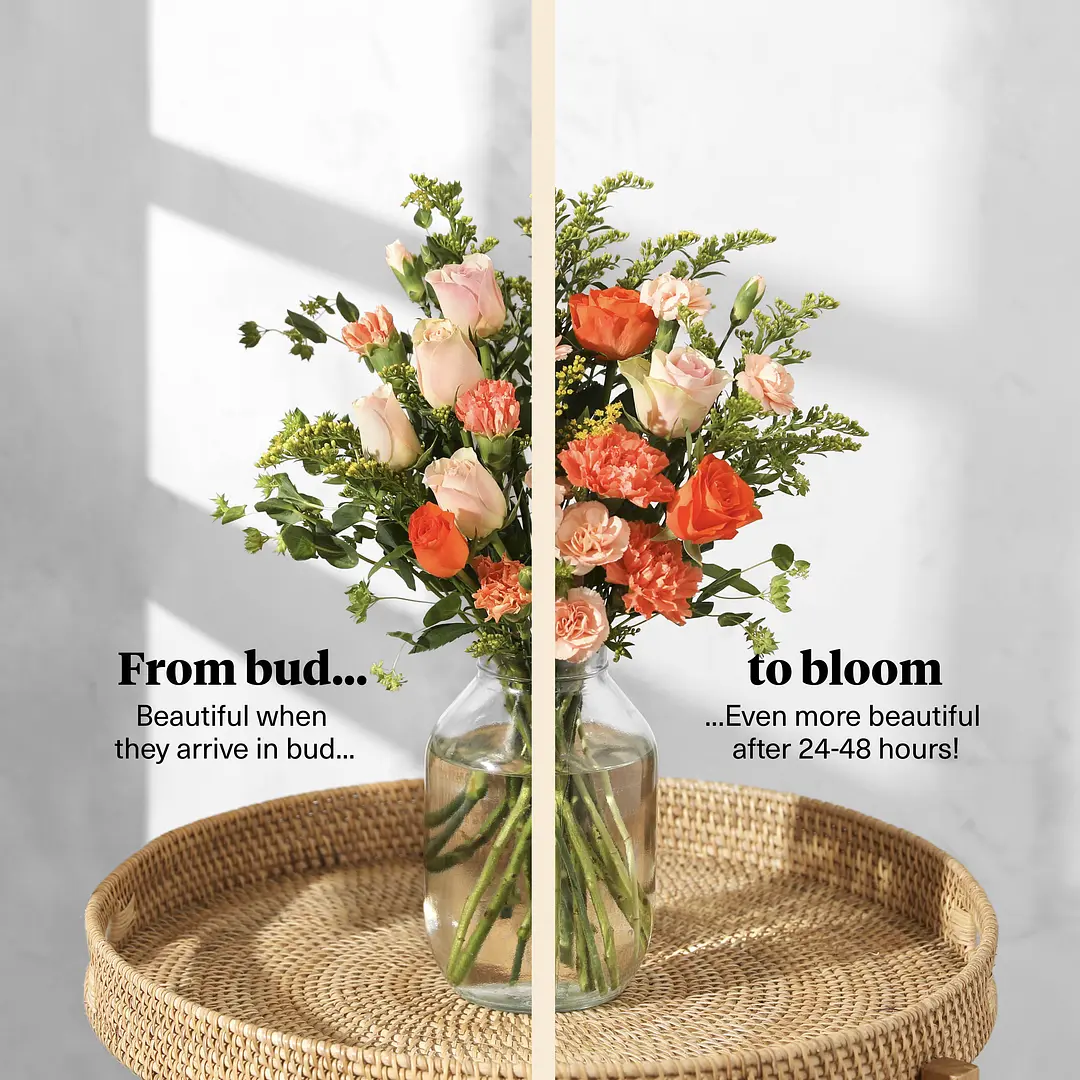 Rose Bouquets | Send a Rose | Bloom & Wild