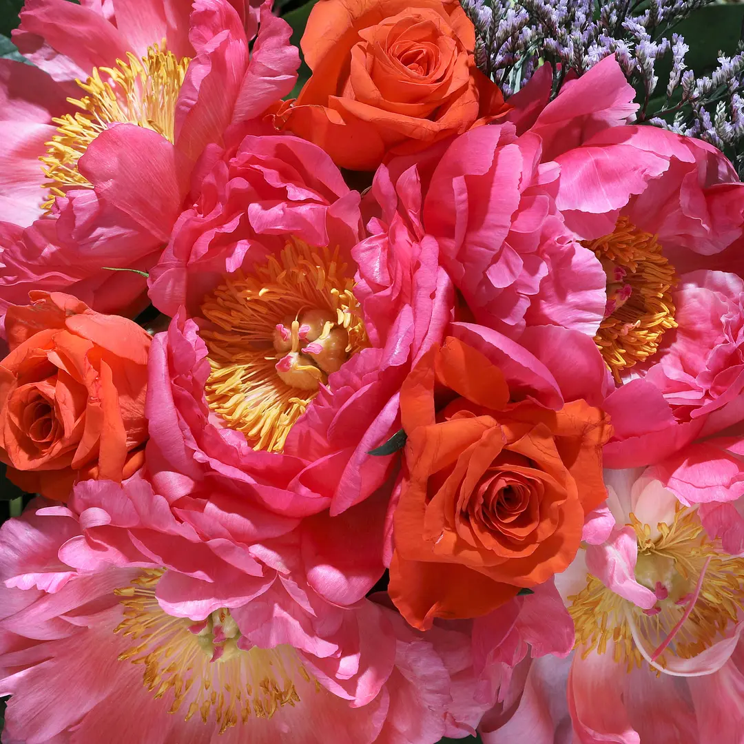 Bloom & Wild Flower Delivery | Flowers & Gifts