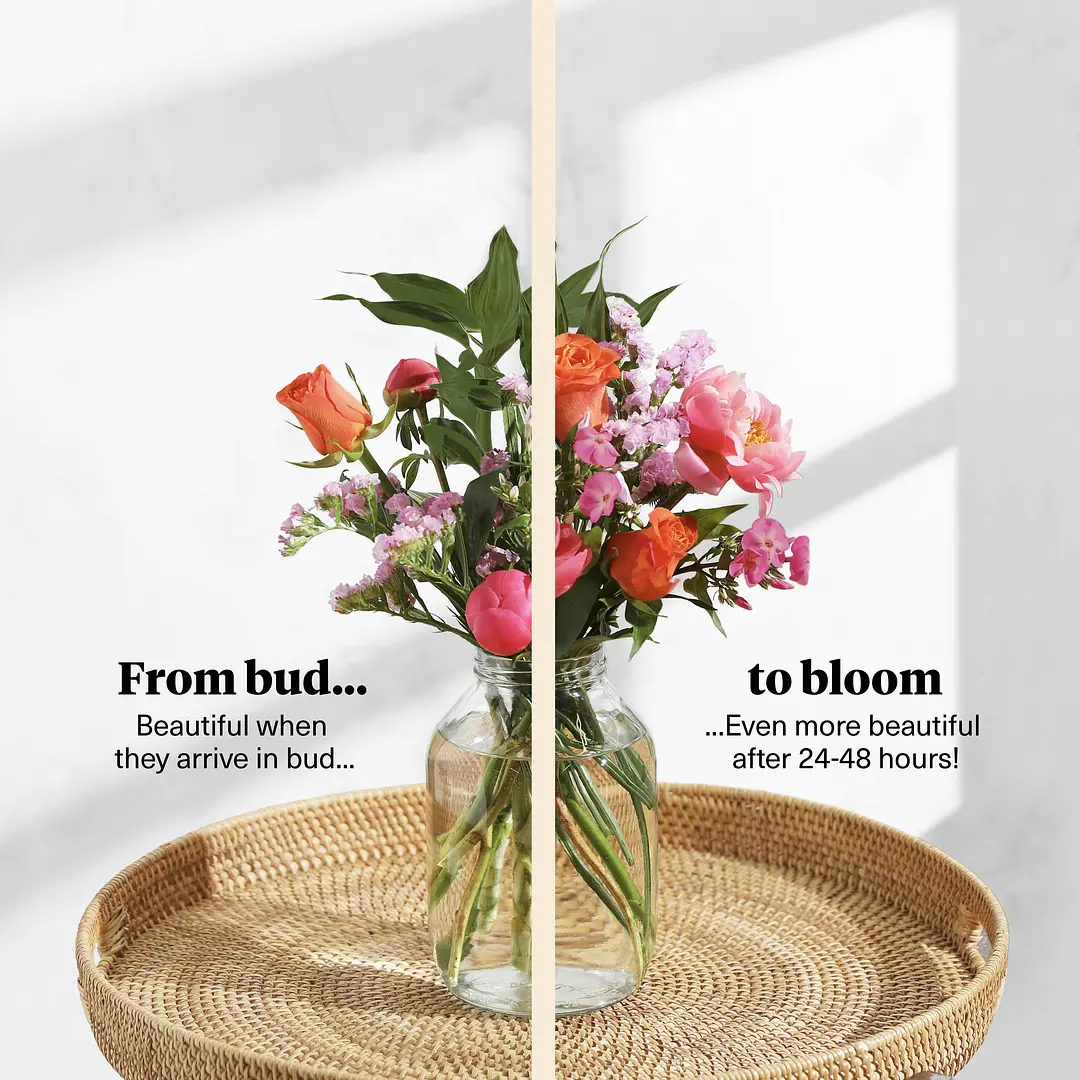 Flowers | Bloom & Wild