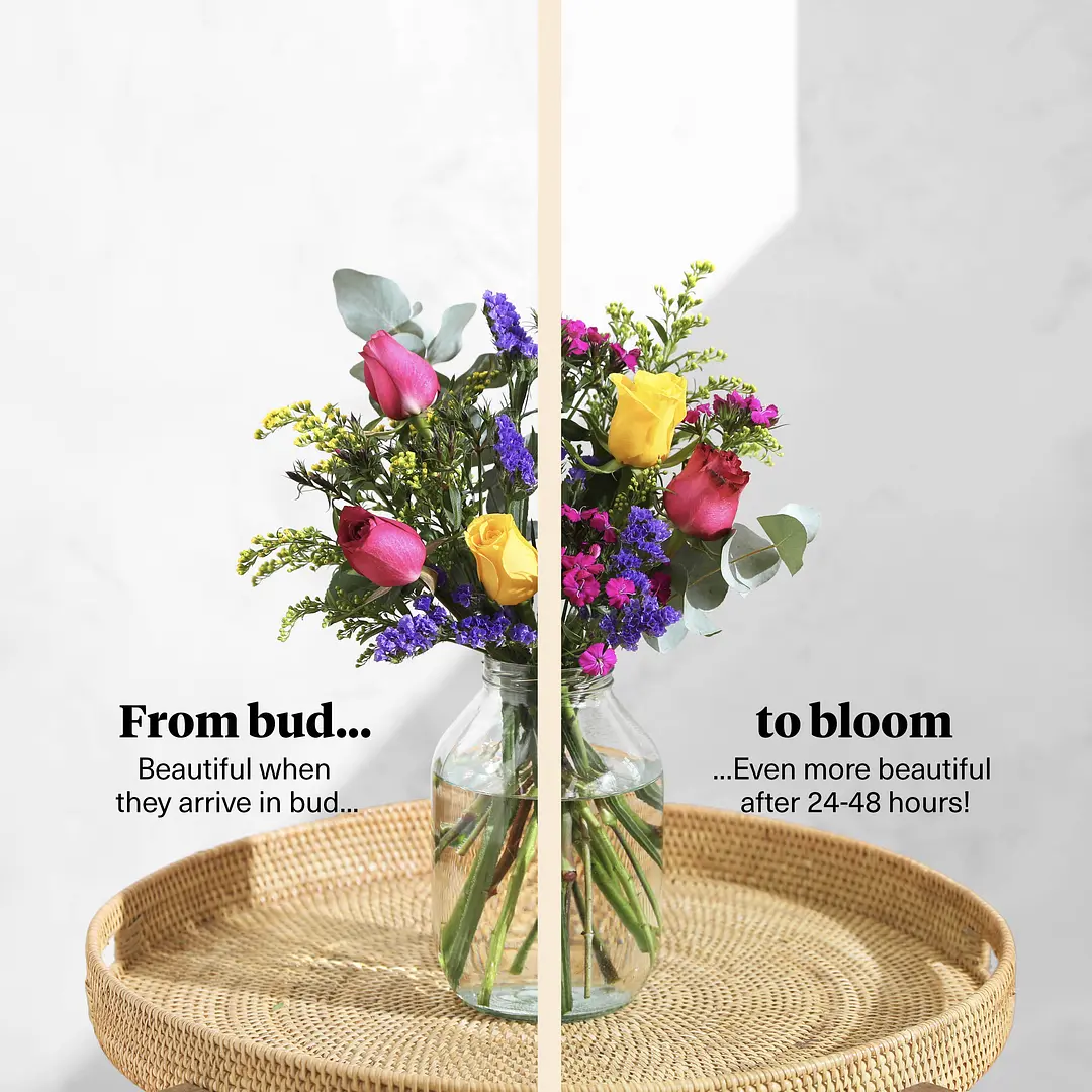 Bloom & Wild Flower Delivery | Flowers & Gifts