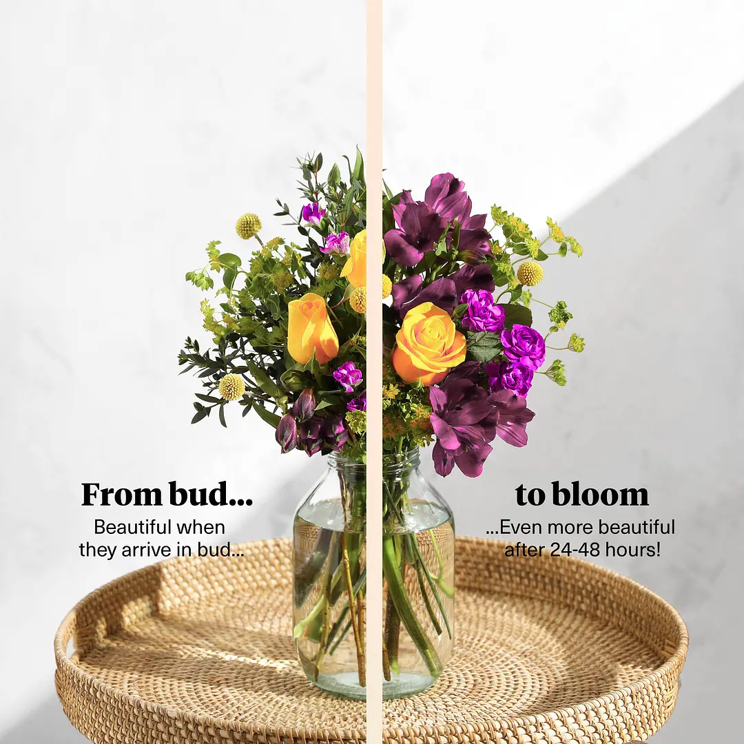 Rose Bouquets | Send a Rose | Bloom & Wild