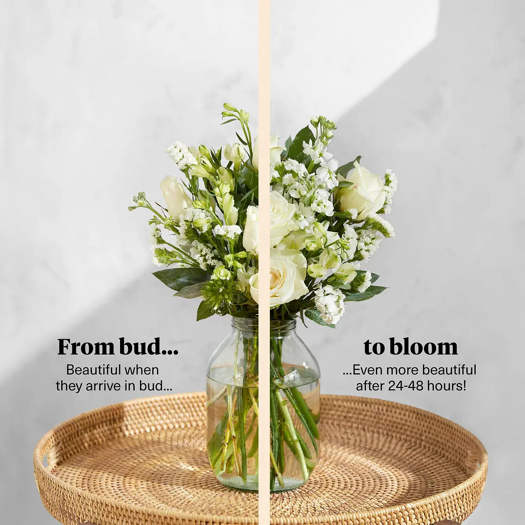 Rose Bouquets | Send a Rose | Bloom & Wild