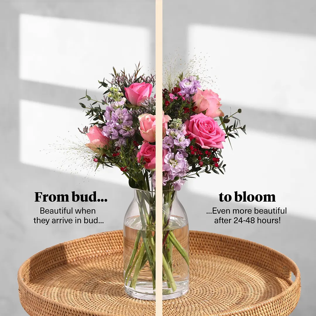 Rose Bouquets | Send a Rose | Bloom & Wild