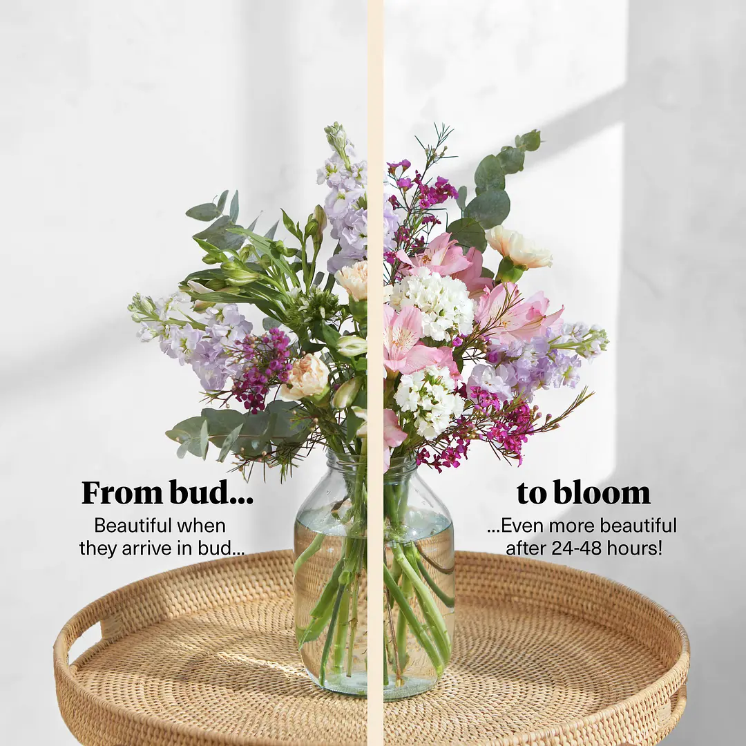 Send Flowers Online | Flowers Delivery | Bloom & Wild