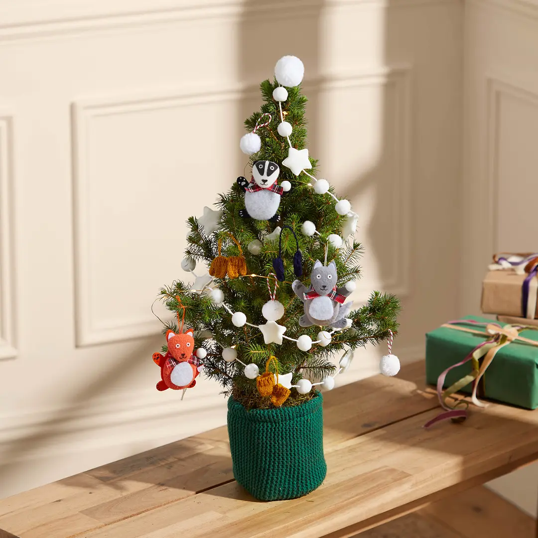 Letterbox Plants - Bloom & Wild