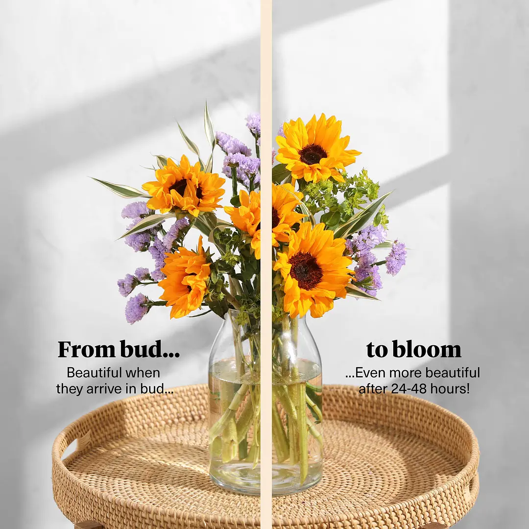 Sunflower Bouquets | Order Sunflowers Online