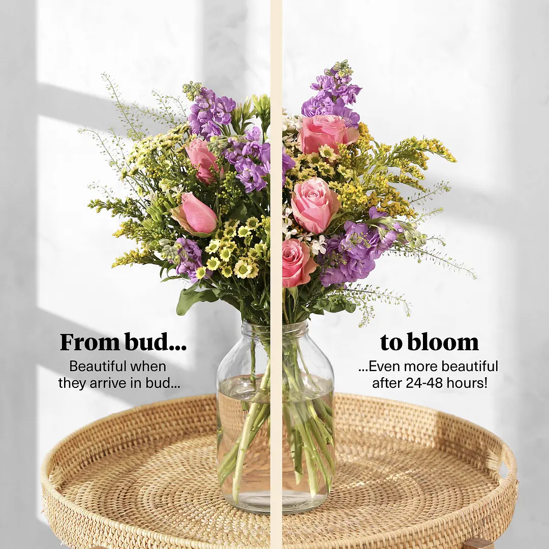 Rose Bouquets | Send a Rose | Bloom & Wild