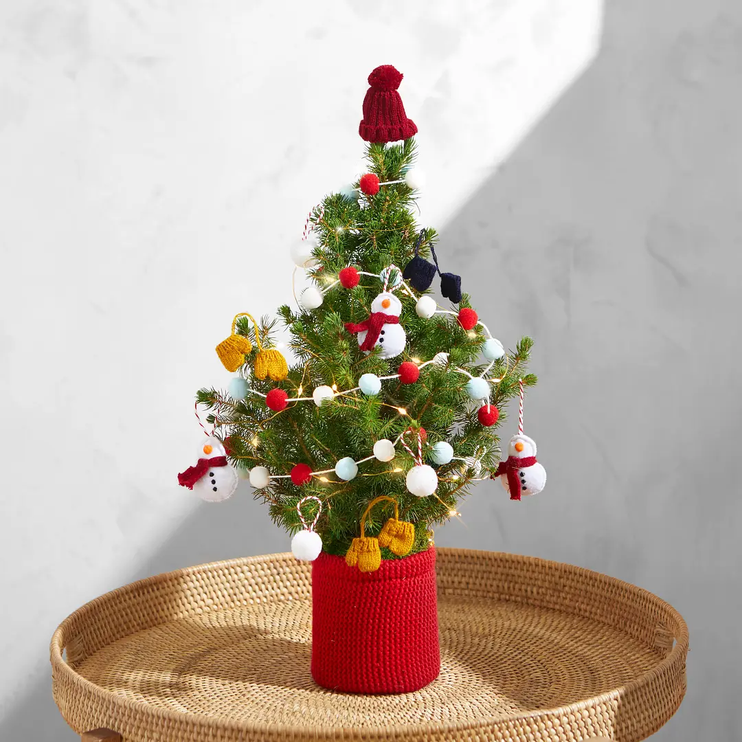 Letterbox Plants - Bloom & Wild