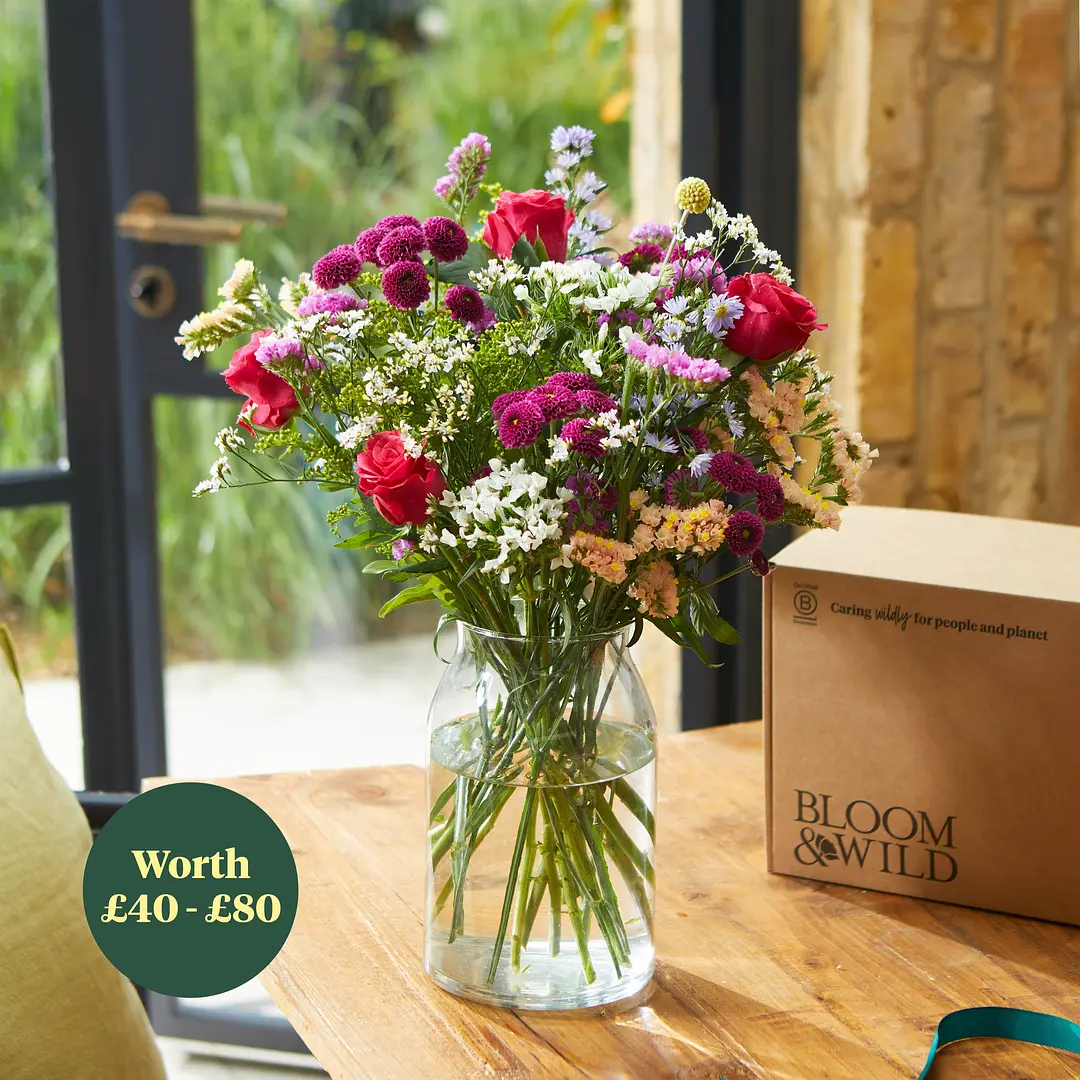 Autumn Flowers | Next Day Delivery | Bloom & Wild