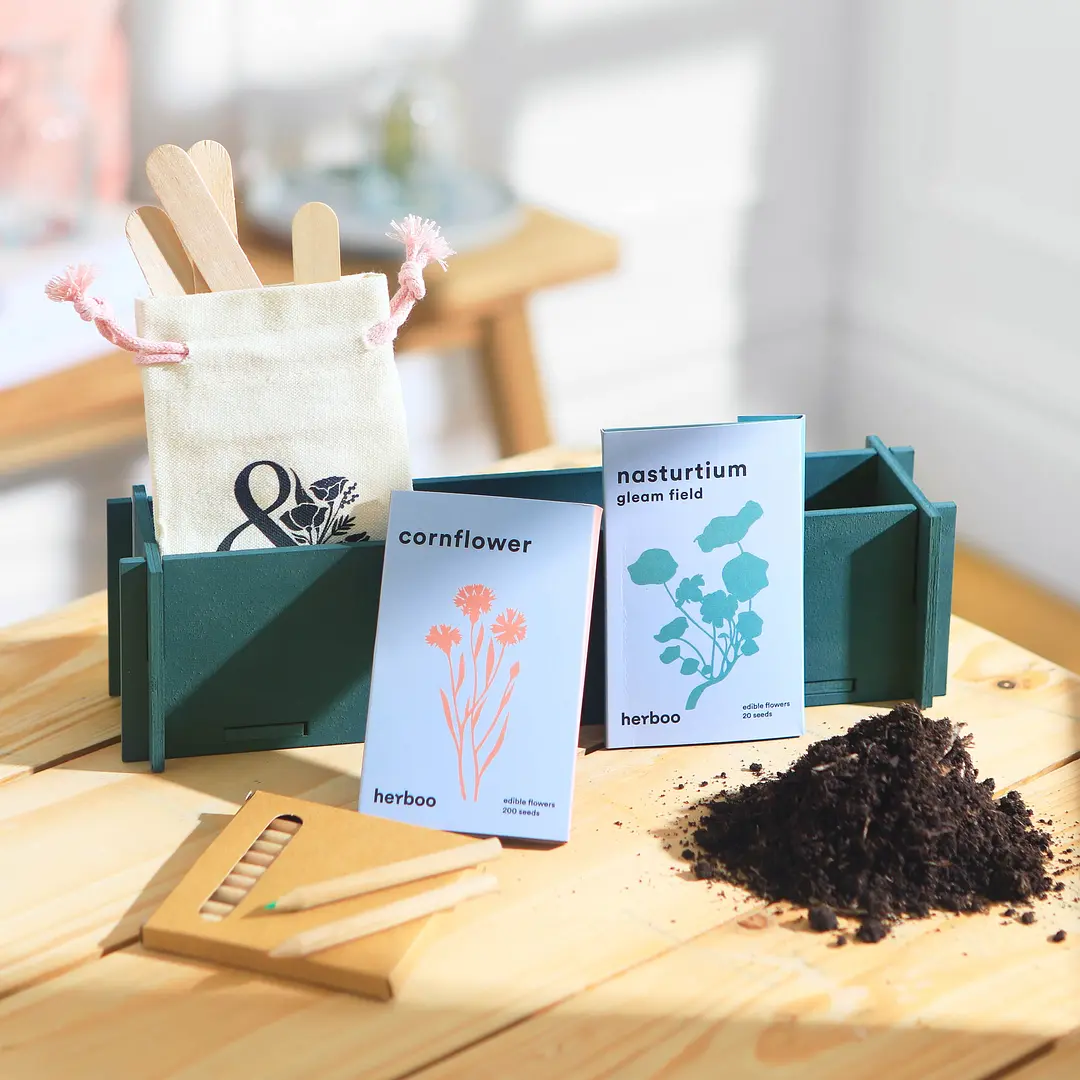 Letterbox Plants by Post | Bloom & Wild