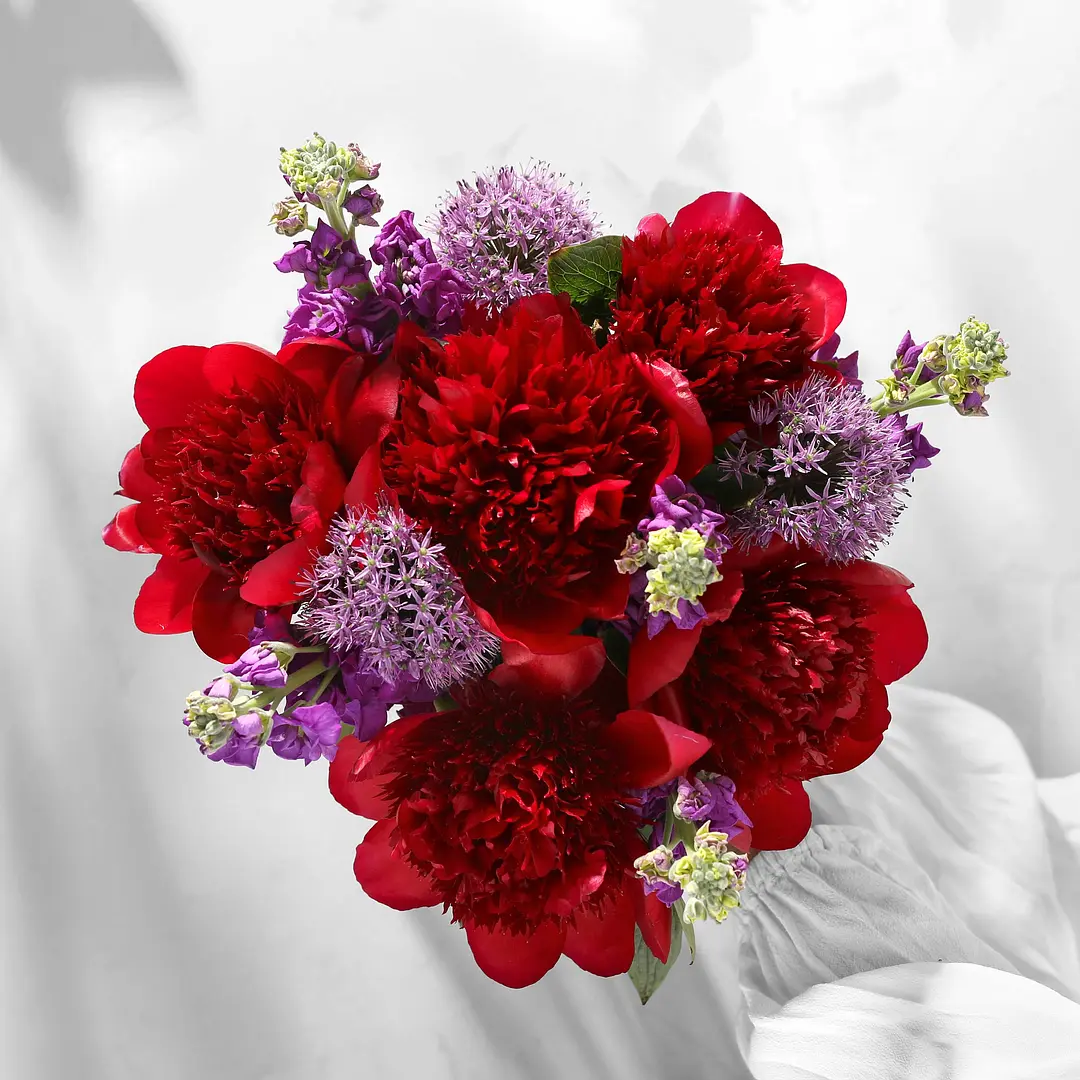 Peonies Flower Delivery | Bloom & Wild