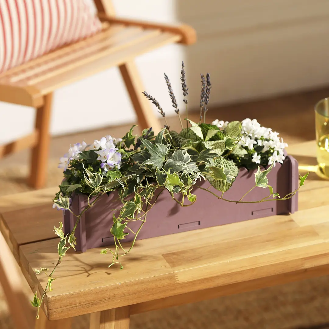 Bloom & Wild Flower Delivery | Flowers & Gifts