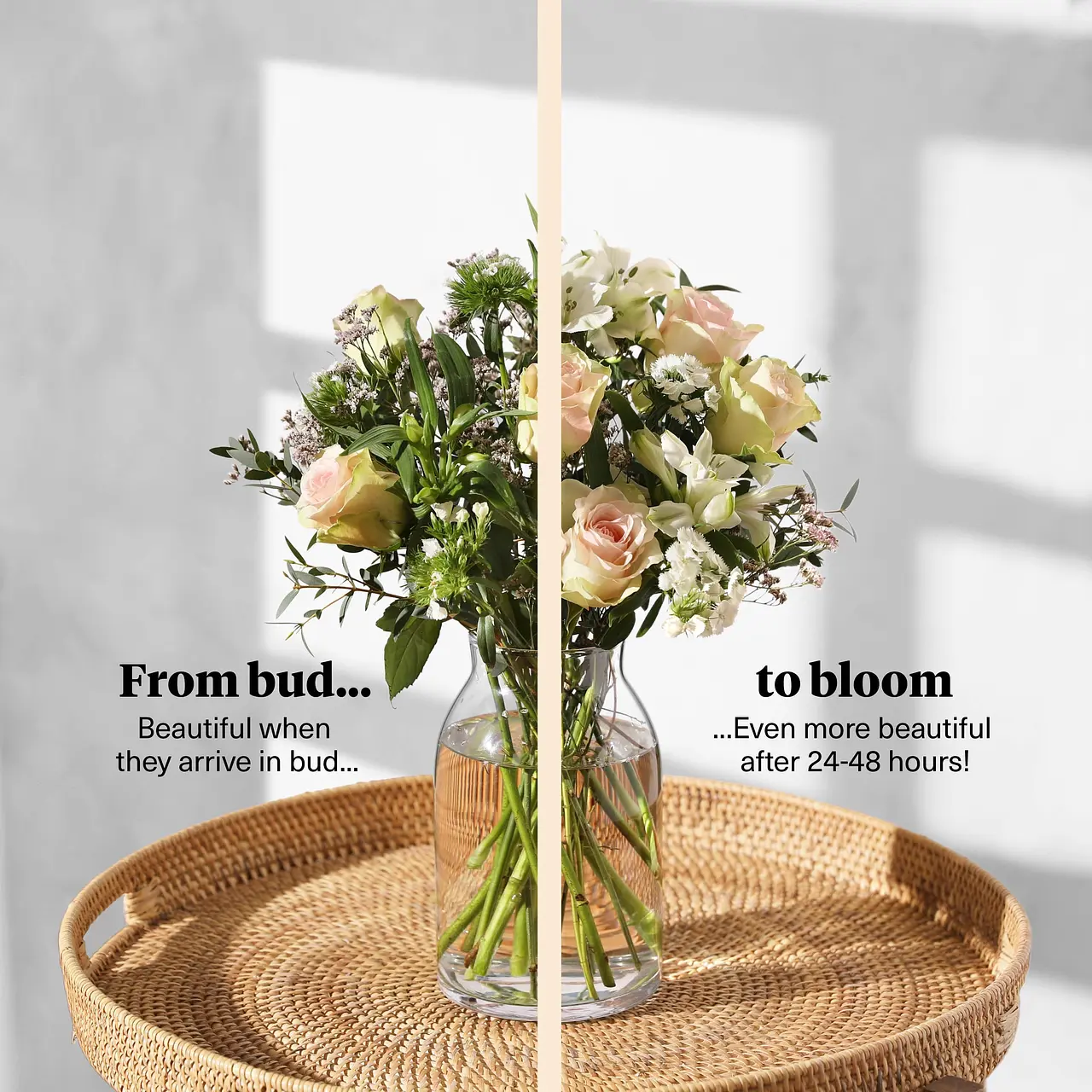 Our full collection | Bloom & Wild