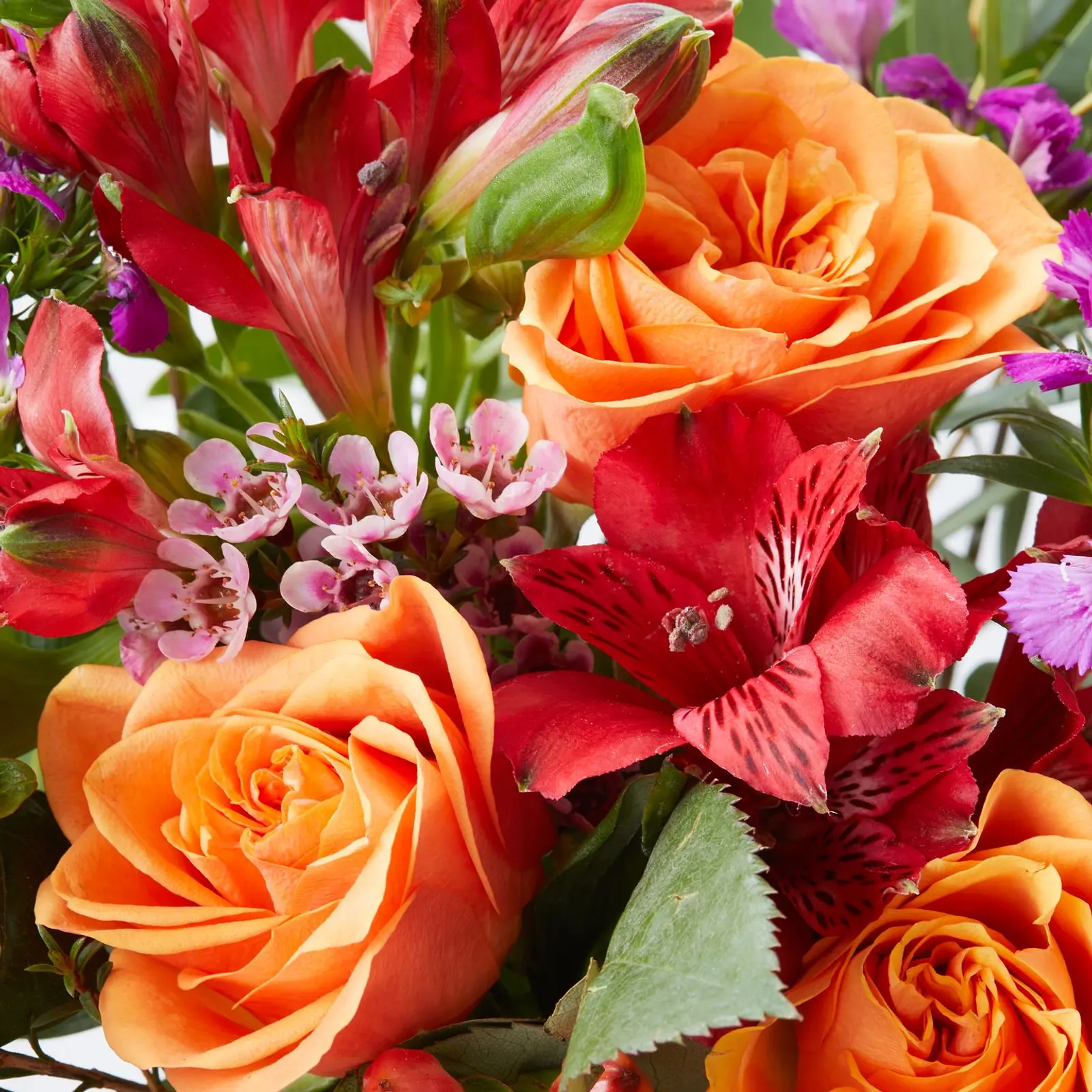 Flower Subscriptions & Bundles | Bloom & Wild