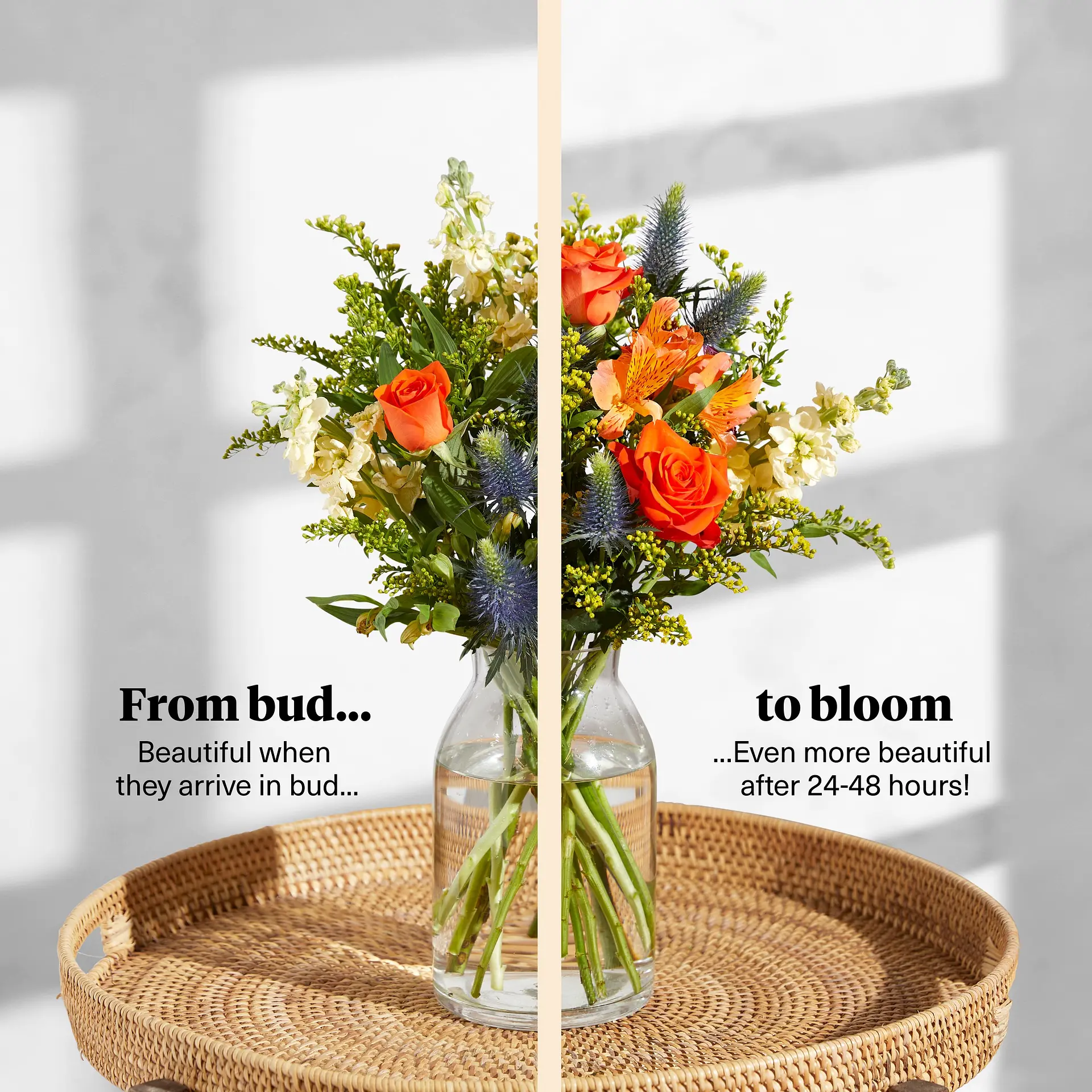 Rose Bouquets | Send a Rose | Bloom & Wild