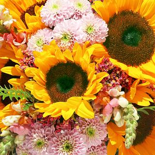 dotty sunflowers