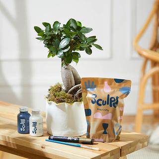 sculpd plant pot