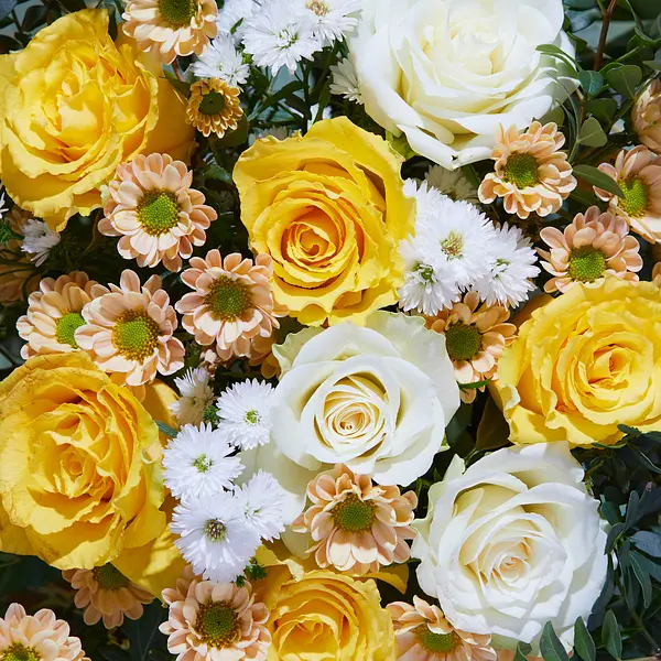 Flower Subscriptions & Bundles | Bloom & Wild