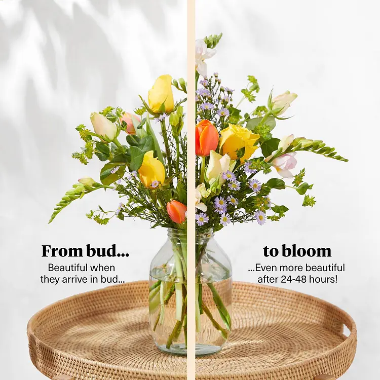 Flower Delivery | Bloom & Wild Flowers & Plants by Post