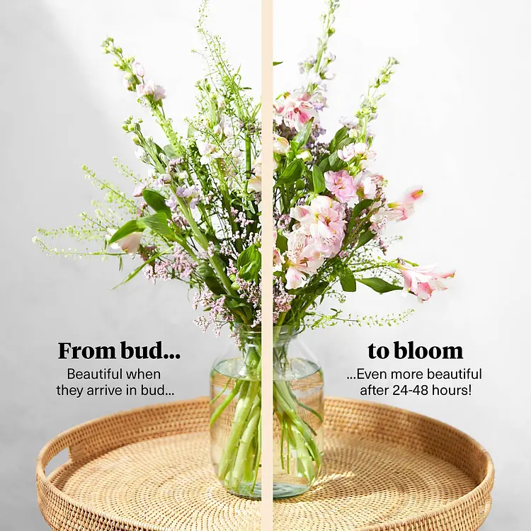 Flower Delivery | Bloom & Wild Flowers & Plants by Post