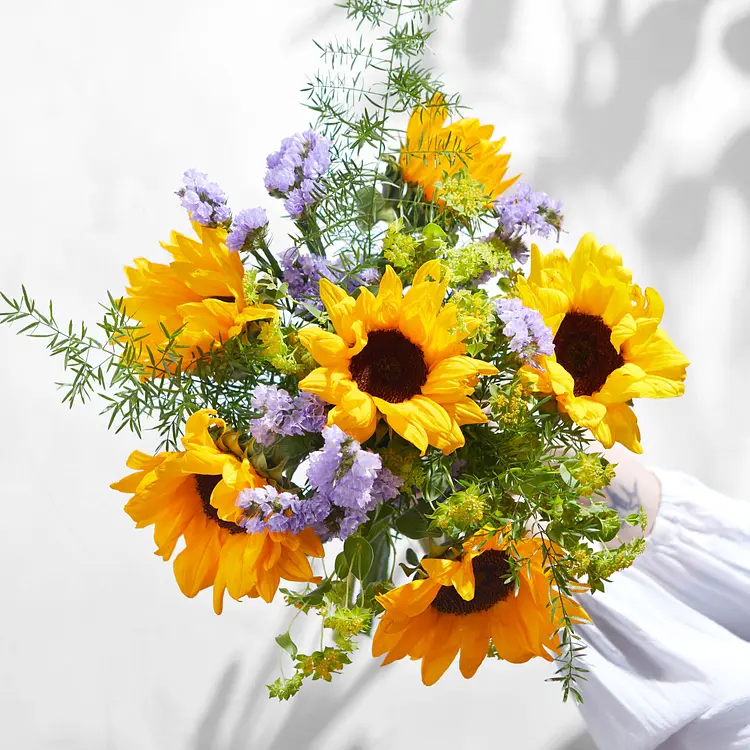 Blumen verschicken | Blumenversand | Versandkostenfrei