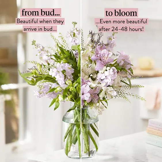 Letterbox Flowers | Bloom & Wild Flower Delivery