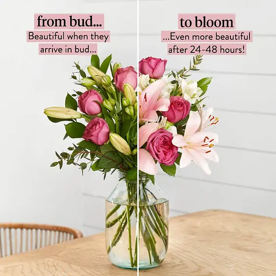 Letterbox Flowers | Bloom & Wild Flower Delivery