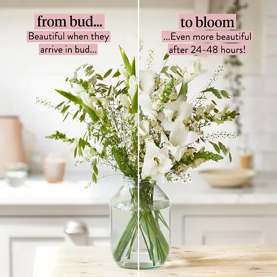 Letterbox Flowers | Bloom & Wild Flower Delivery