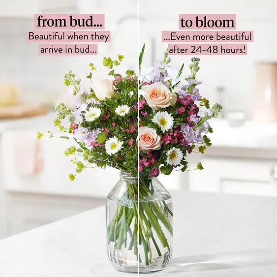 Letterbox Flowers | Bloom & Wild Flower Delivery