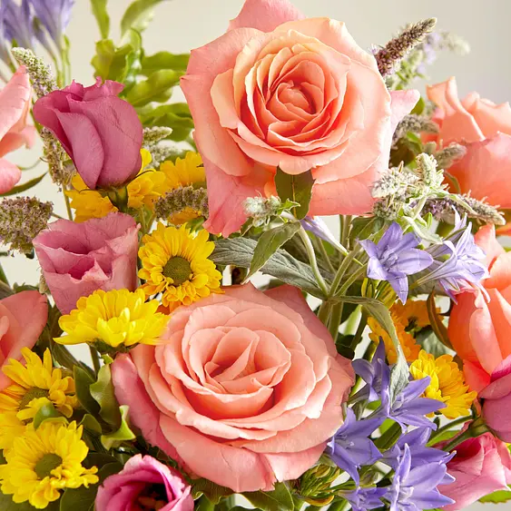 Letterbox Flowers | Bloom & Wild Flower Delivery