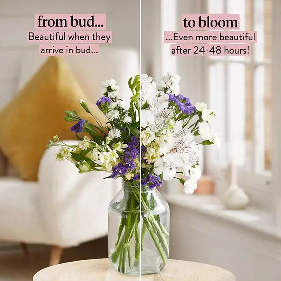 Letterbox Flowers | Bloom & Wild Flower Delivery